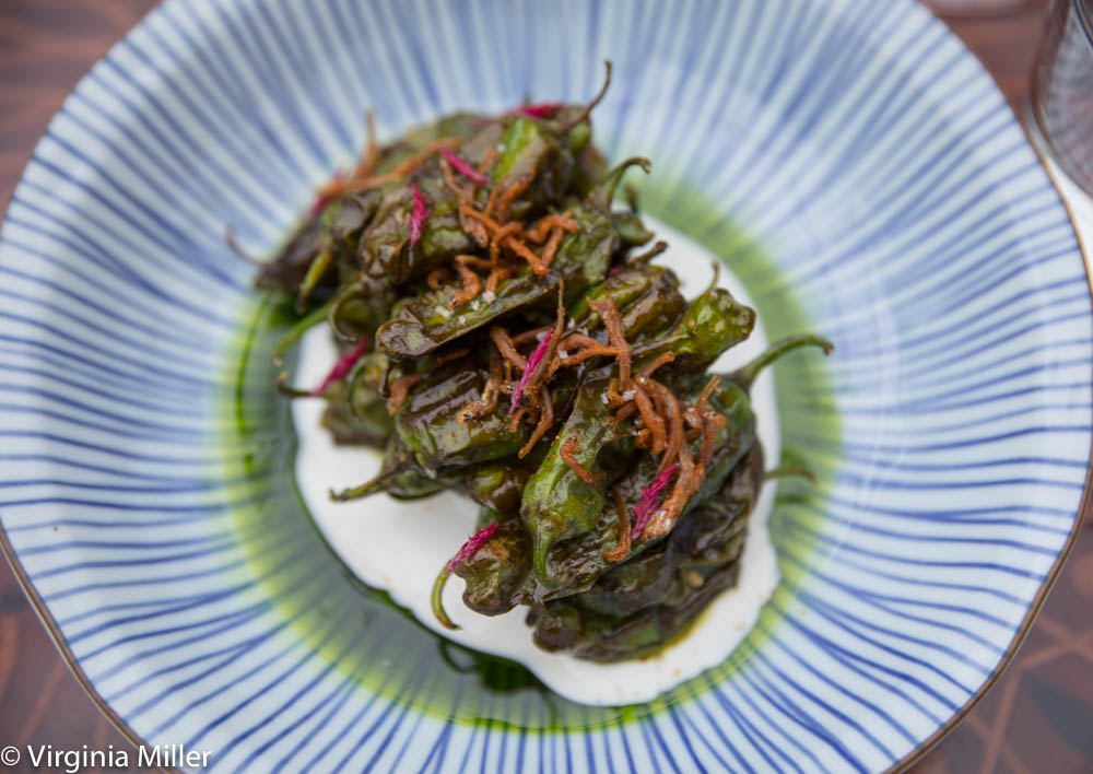 SF’s Aziza Serves Some of the Best Moroccan Food in the Country – The ...